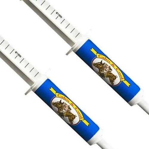 Divine Equine Oralx Paste Syringe for Horses 34g 2-Pack | eBay