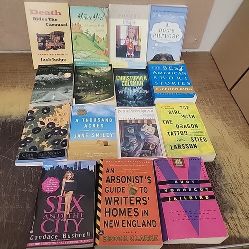 Lot of 51 Large Trade Literature Fiction Paperback BestSeller UNSORTED ...