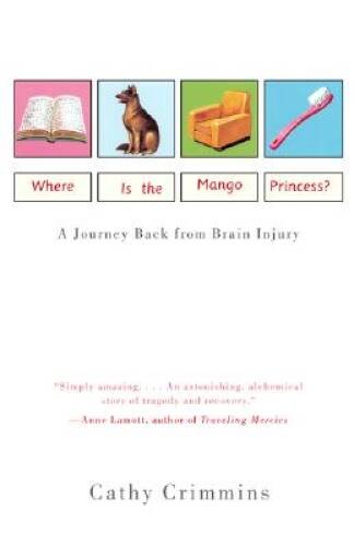 Where is the Mango Princess? A Journey Back from Brain Injury ...