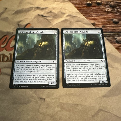 MTG Watcher of the Wayside Tarkir: Dragonstorm Regular #0249 X2! | eBay UK