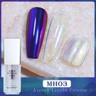 Magic Mirror Powder Holographic Laser Nail Polish Liquid Nail Glitter ...