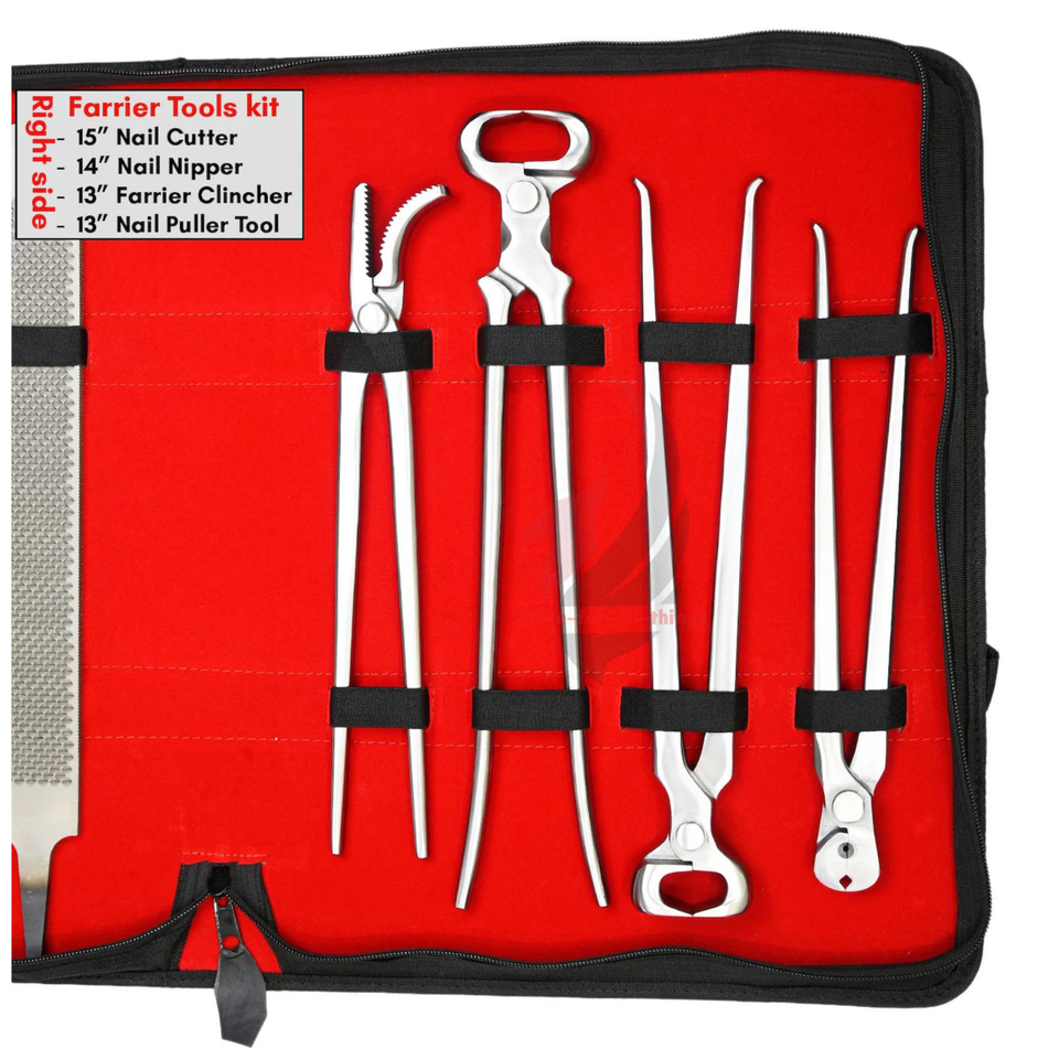 Complete Farrier Hoof Care Tool Set 15 Inch 14 Inch Nippers Hammer Rasp ...