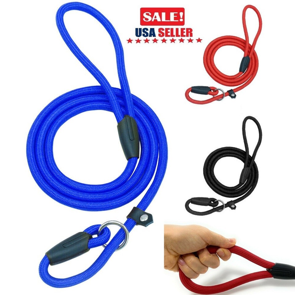 Durable Nylon Slip Lead Dog Leash Adjustable Pet Puppy Training Collar ...