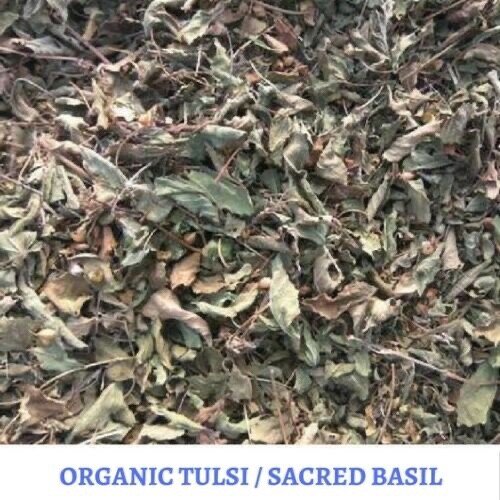 Dried ORGANIC TULSI LEAVES - HOLY BASIL LEAVES - PREMIUM TULSI LEAF ...