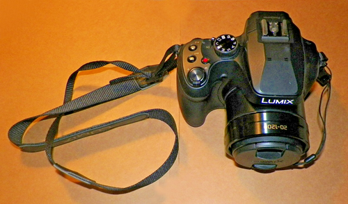 Panasonic Lumix DC-FZ80 Digital Point & Shoot Camera 60X | eBay