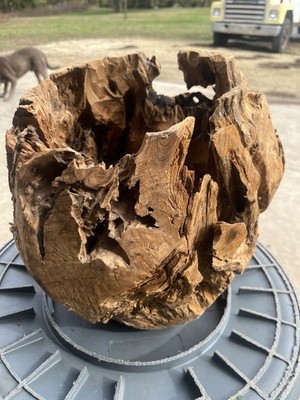 Root Planter Bowl (teak?) | eBay