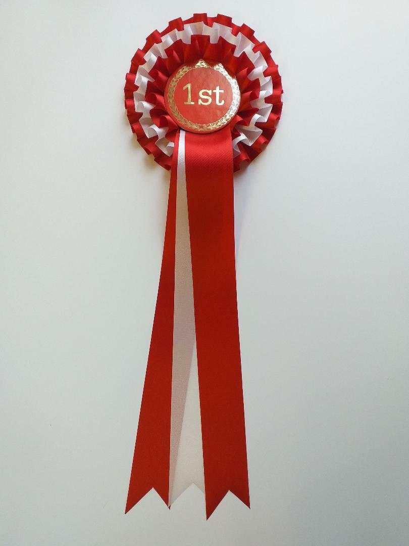 Award Rosettes Individual Placing 3 Tier Rosettes 1st - 6th Place FREE ...