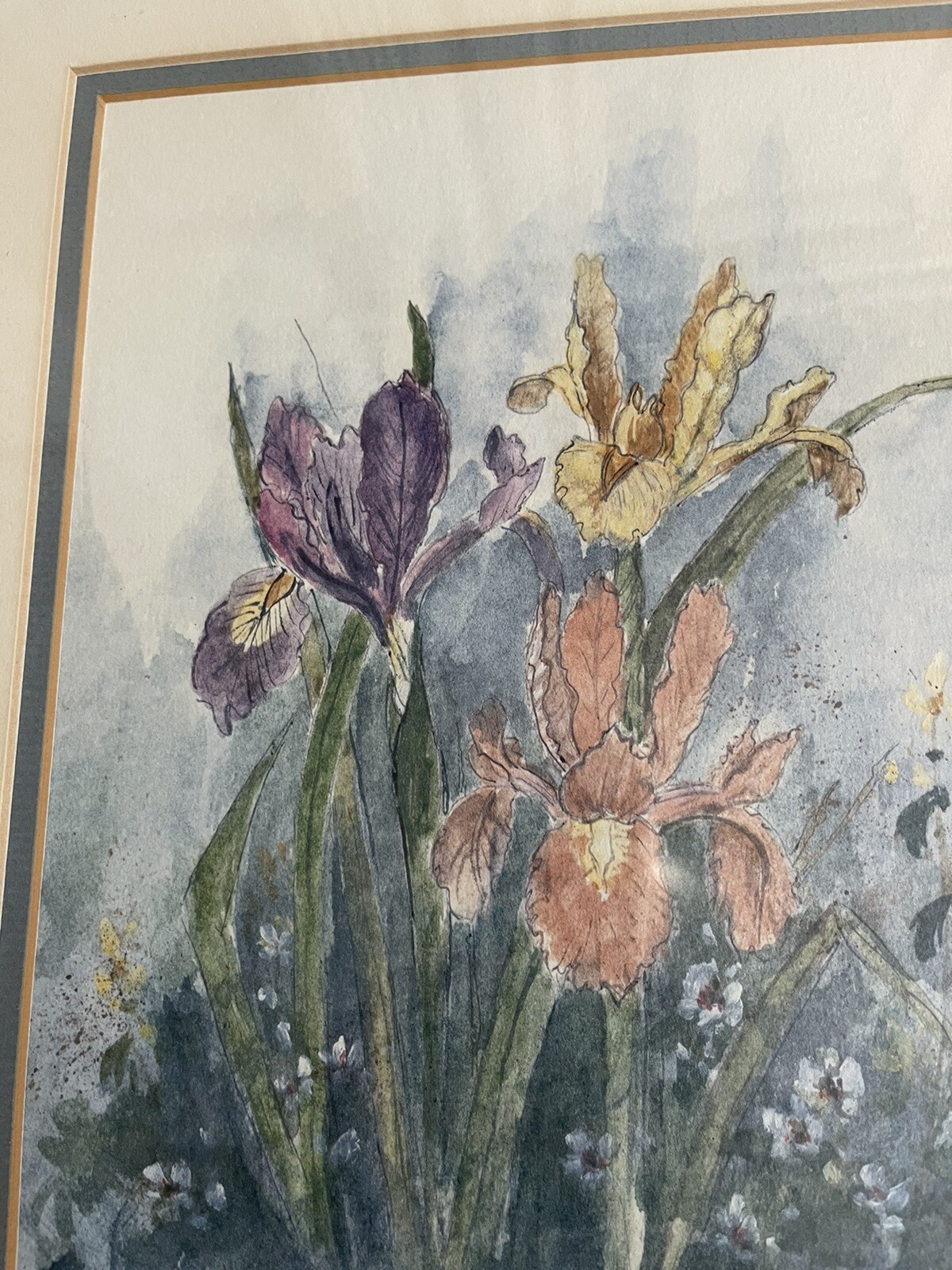 Iris Ltd Print signed #804/2000 print by Mary Vincent Bertrand flowers ...