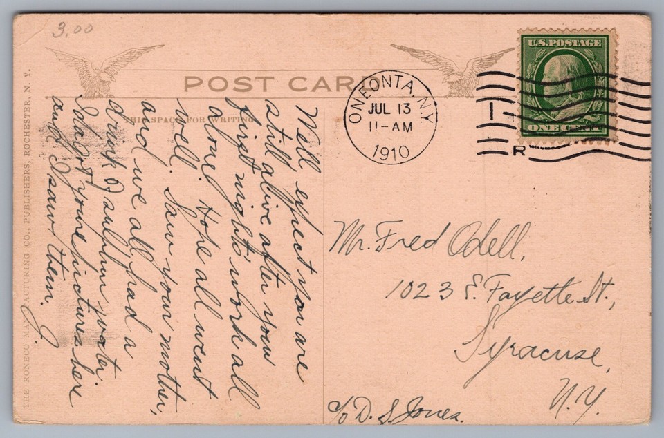 View from Milling Company’s Tower Oneonta NY 1910 Otsego County ...