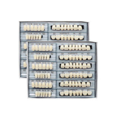168pc Dental Acrylic Resin Denture 22# A2 Full Set Teeth Upper Lower ...
