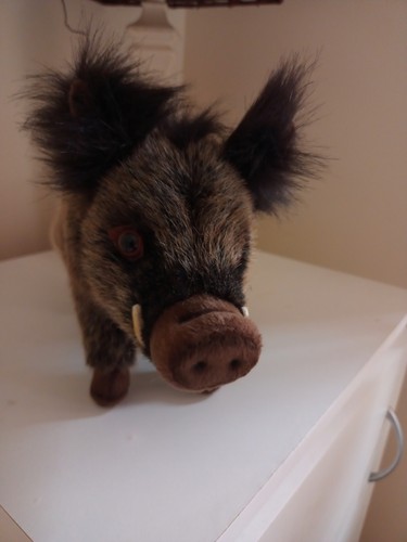 Hansa Wild Boar Realistic Cute Soft Animal Plush Toy 29cm for sale ...