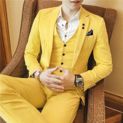 Mens Slim 3pcs Blazer Vest Pants Set Host Singer Stage Dress Suit ...