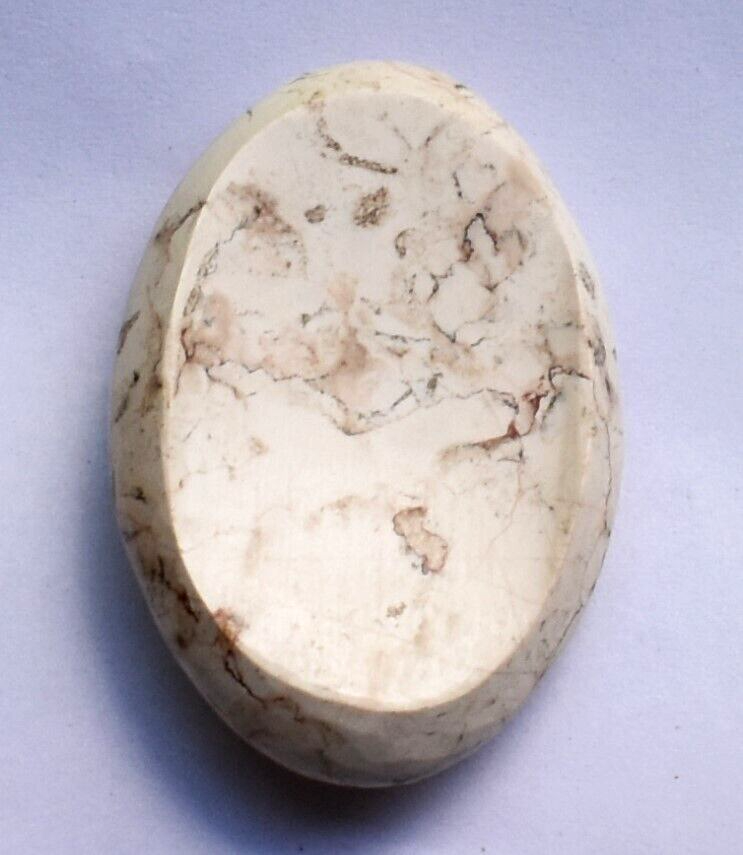 Shellfish Fossil Ancient Seabed Blue Ridge Mountains North Carolina ...