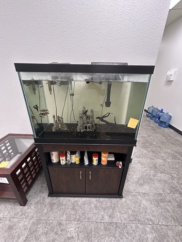 65-gallon GLASS Fish Tank/Aquarium(Salt/Fresh Water For Fish,Small Pet ...
