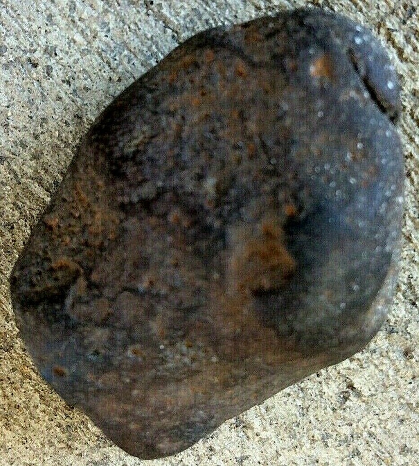 Meteorite ABEE - Enstatite Chondrite EH4 - fell 1952 in Canada - End ...