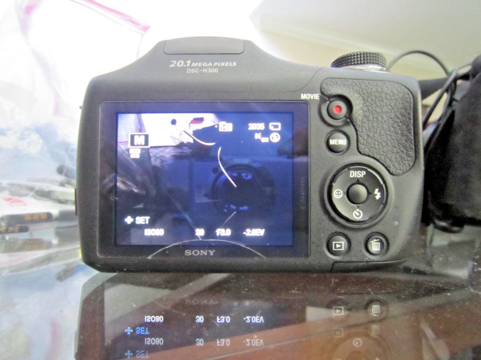 SONY DSC-H300 DIGITAL CAMERA 20 MEGAPIXEL 35X ZOOM TESTED WORKS | eBay