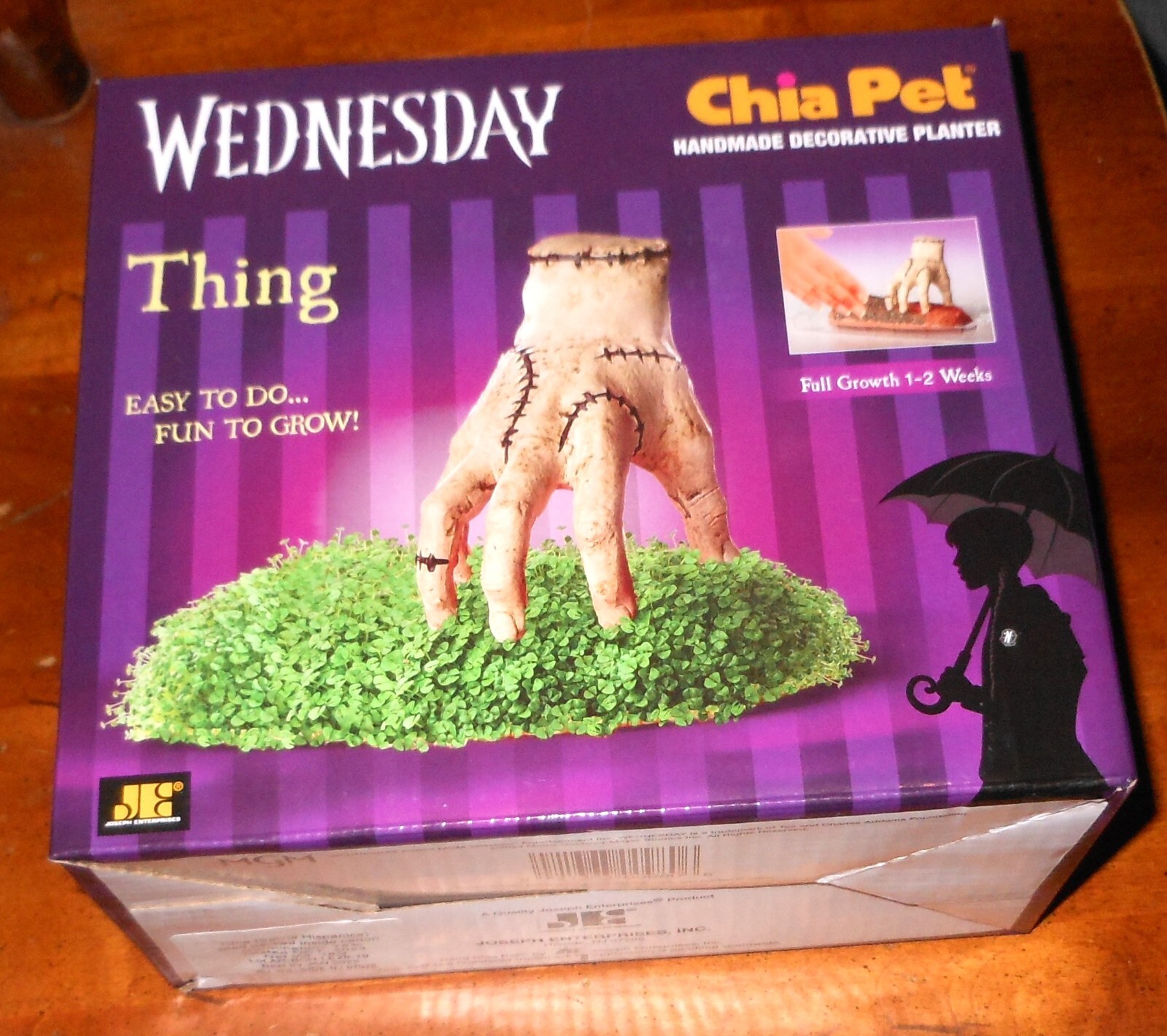 New In Box Ch-Ch-Ch Chia Pet Planter Wednesday Thing The Addams Family ...