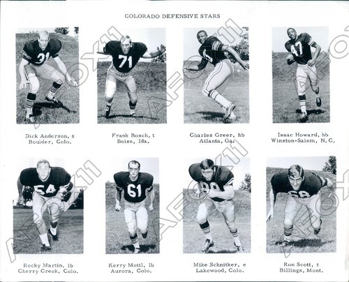 1968 Colorado Buffaloes Football Defensive Stars Press Photo | eBay