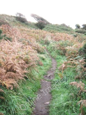 Photo 6x4 Path through the bracken Rockcliffe/NX8453 This is the ...