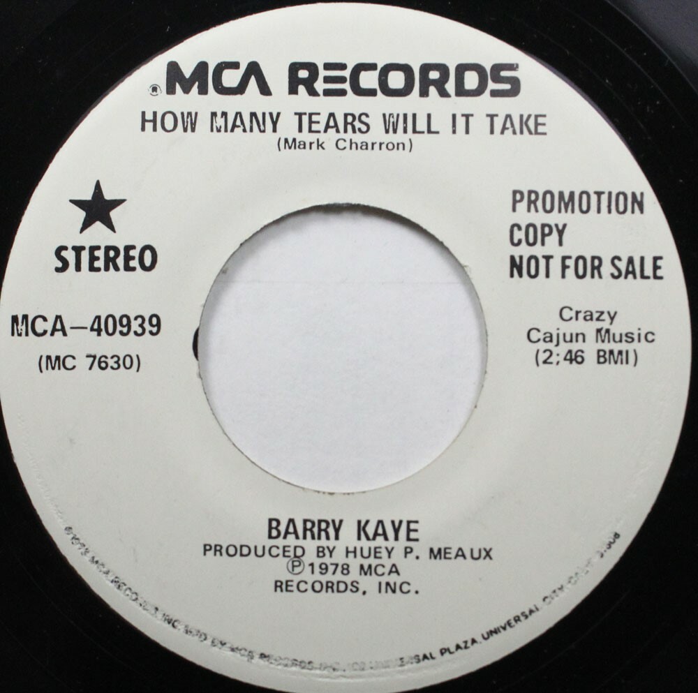 Rock Promo Nm! 45 Barry Kaye - How Many Tear Will It Take / Cheatin' On ...