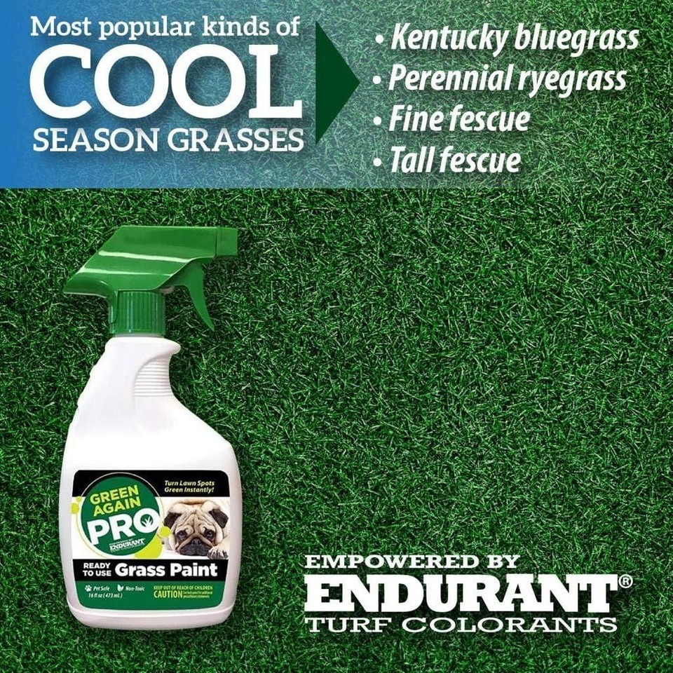All-Natural Lawn Colorant, 16oz - Quick-Dry Paint for Warm Season Grass ...