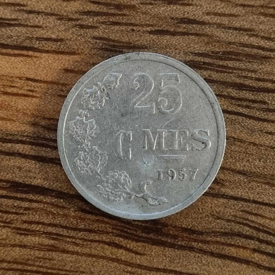 Luxembourg 25 Centimes 1957 Aluminium-Magnesium Coin Letzeburg Cmes | eBay