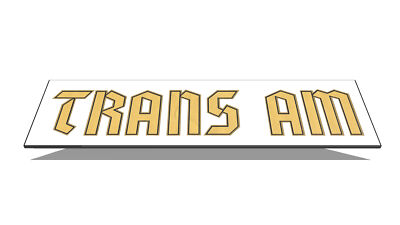 1976 1977 1978 Black Trans Am Special Edition German Gold Name Bird ...