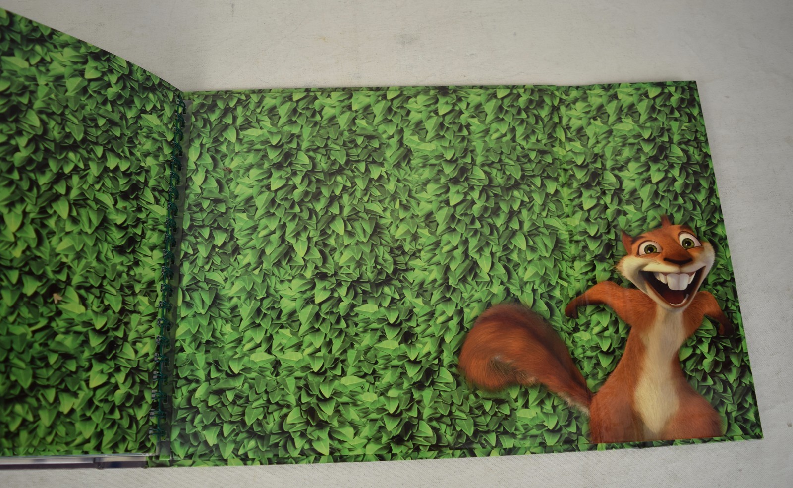 Over The Hedge Dreamworks Graphgic Animation Treatment Book 2006 Cells ...