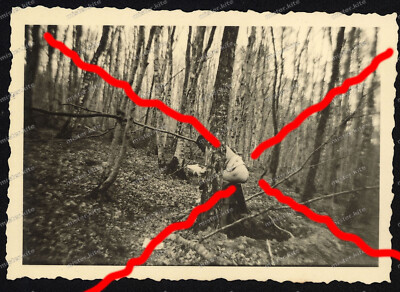 Foto-Soldat-Donnerbalken-Stuhlgang-call of nature-Toilet-Wehrmacht-2.WK ...