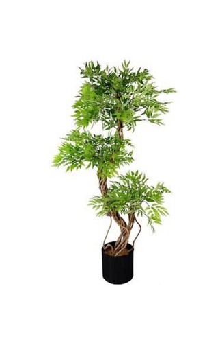 Artificial Evergreen Trees Large Japanese Evergreen Real Wood Trunk ...