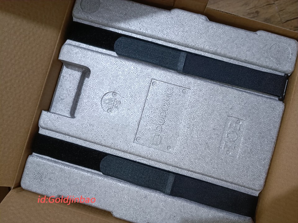 Dodomo Studio Chainsaw Man 1/6 Scale Power Resin Model In Stock Two ...