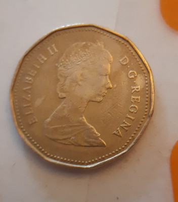 1988 Canadian Loonie 1 dollar coin in excellent pristine condition | eBay