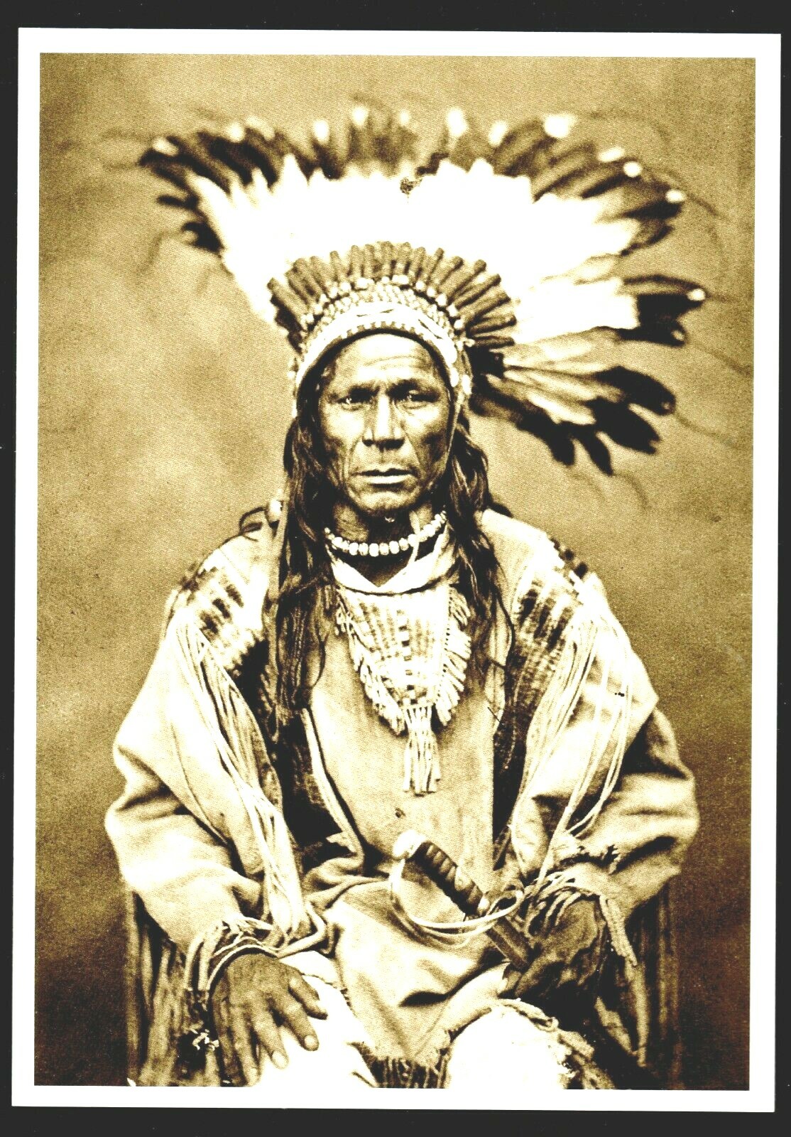 ⫸ 931 Postcard CROW FLIES HIGH, Hidatsa Chief – 1875 Photo O.S. Goff | eBay