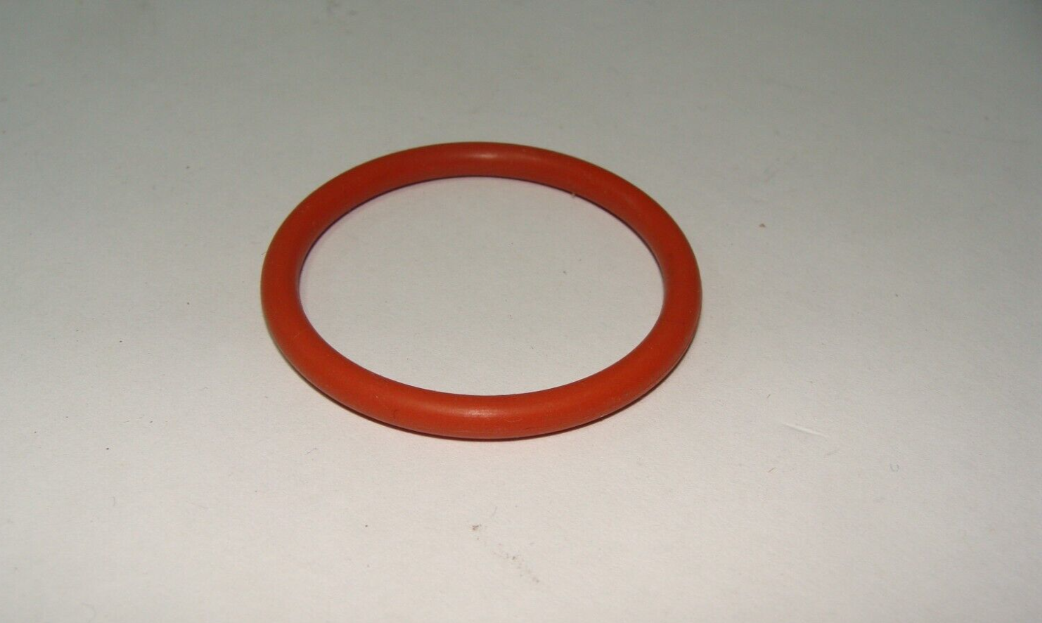 Thermo Scientific O-Ring P/N 062613 1 Piece per order | eBay