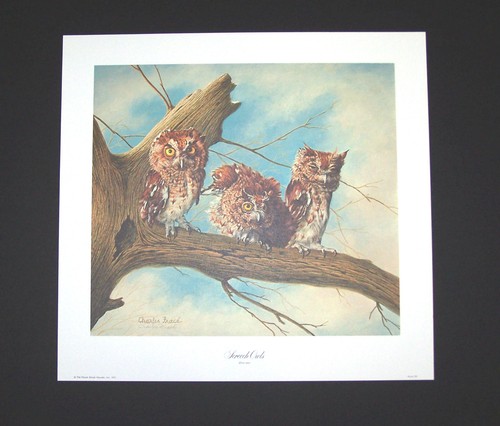 Charles Frace Hand-Signed Print "Screech Owls" Limited Edition | eBay