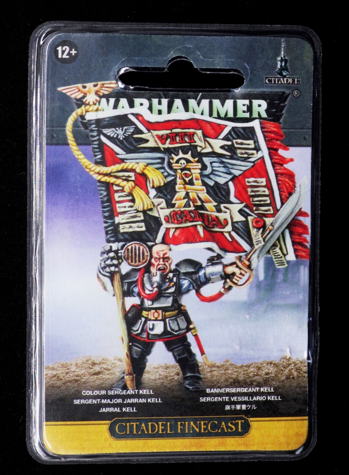 COLOUR SERGENT JERRAN KELL New Cadian HQ Standard Bearer Finecast ...