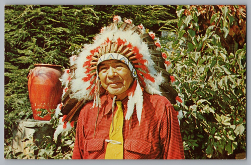 Chief Standing Deer Cherokee Indian Chief Postcard | eBay