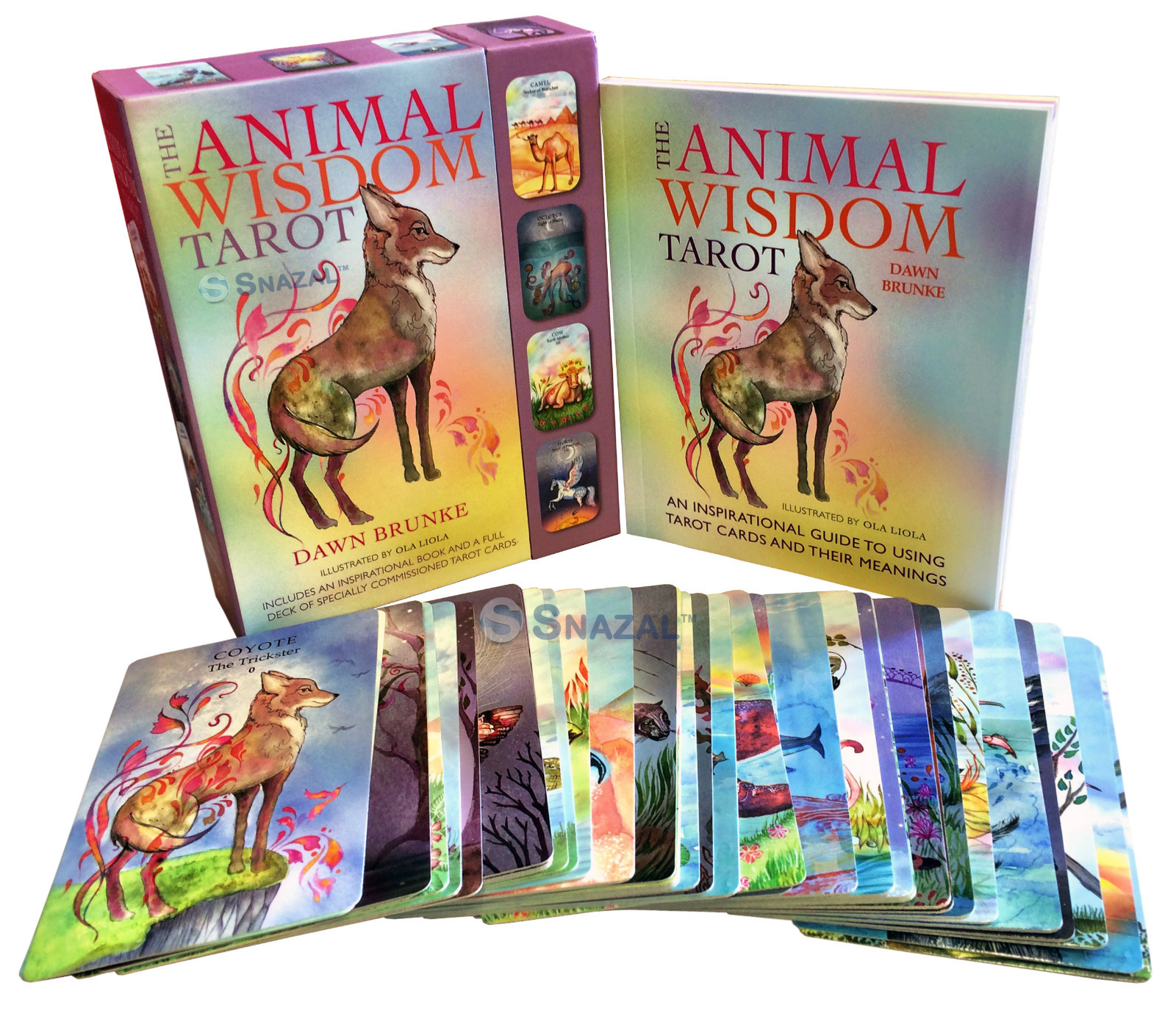 The Animal Wisdom Tarot Deck Cards Collection Box Gift Set Mind Body ...