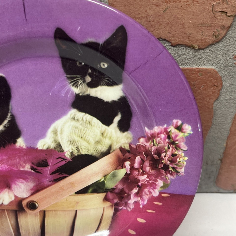 Harry Potter Collectible Plate Set of 4 Professor Umbridge Cat Plates ...