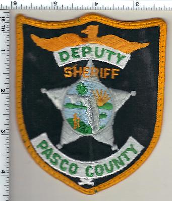 Pasco County Deputy Sheriff (Florida) Uniform Take-Off Shoulder Patch ...
