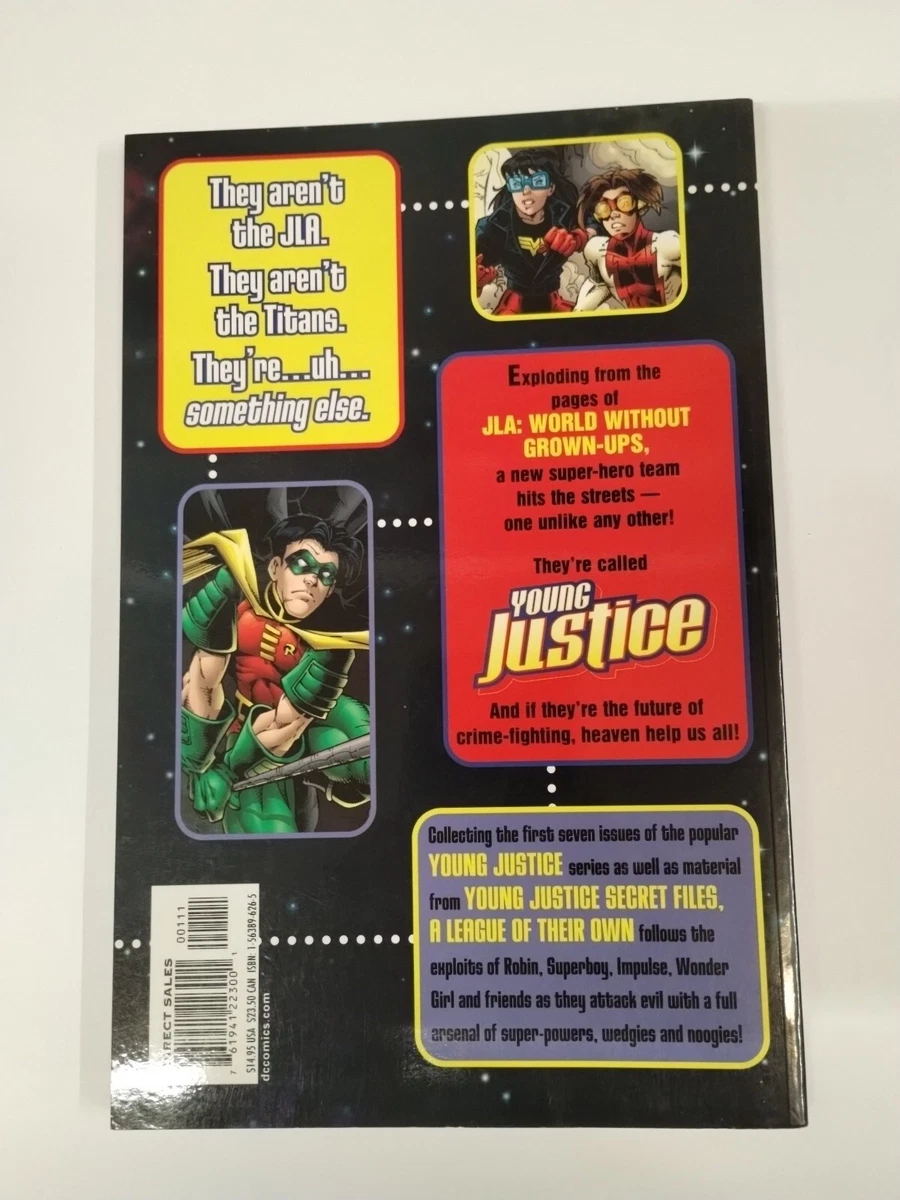 Young Justice Robin Fighting