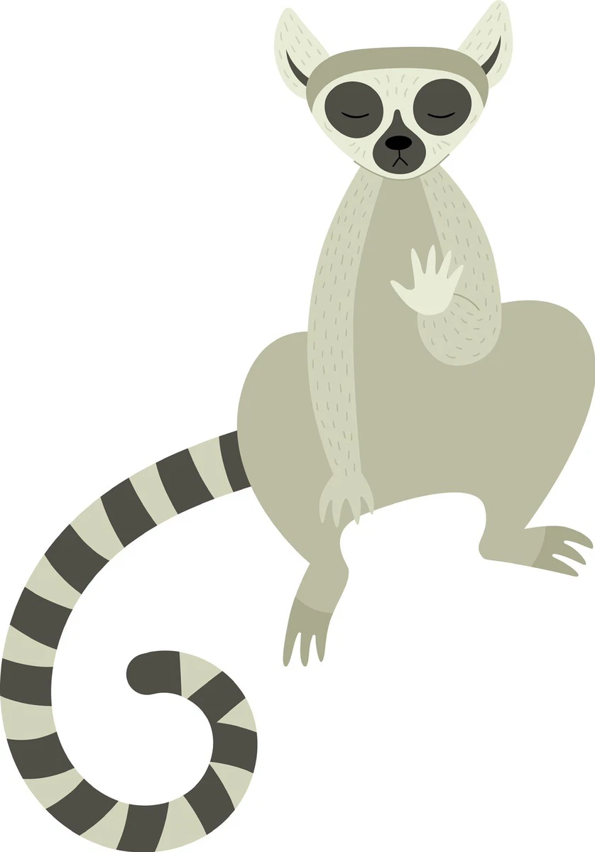Calm Down Lemur