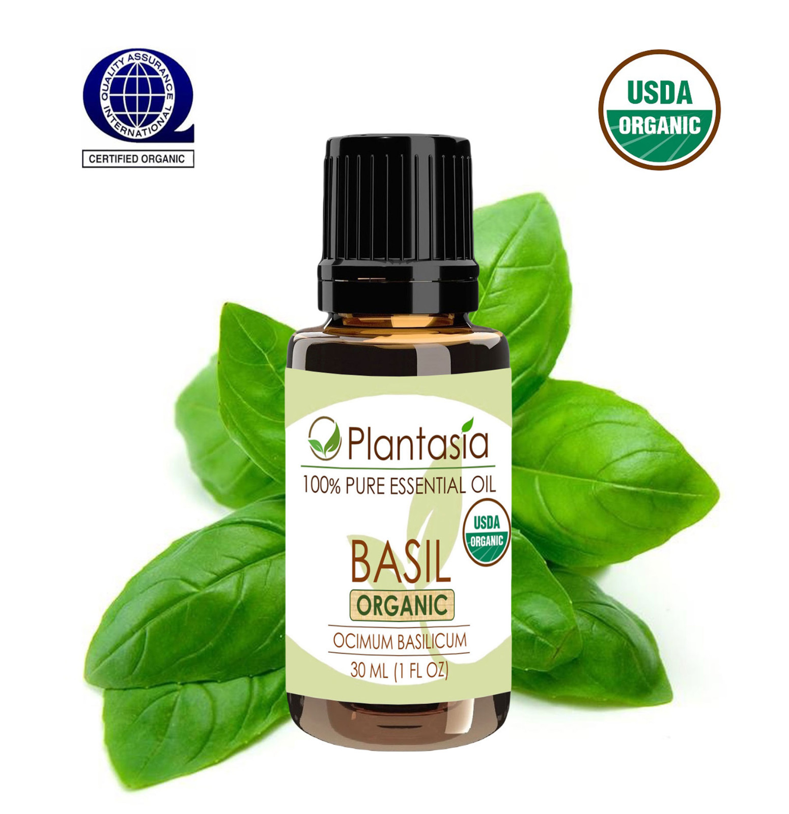 Basil Organic Essential Oil 100% Pure and Natural Therapeutic India by ...