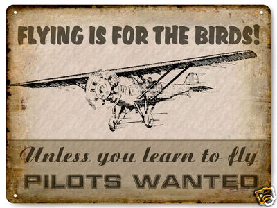 Airplane Rides Sign Luscombe Vintage Aviation Pilot Ace Aircraft ...