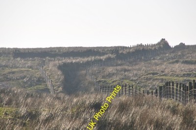 Photo A2 Exmoor : Looking to Exe Head Simonsbath Looking towards Exe ...