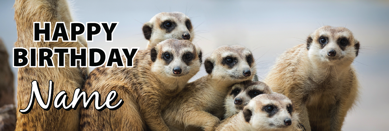 2 Personalised Meerkat Birthday Banner Kid & Adult Party Decoration ...