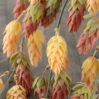 Weatherproof 31" Tri-Colored Cascading Artificial Hops Bush | eBay