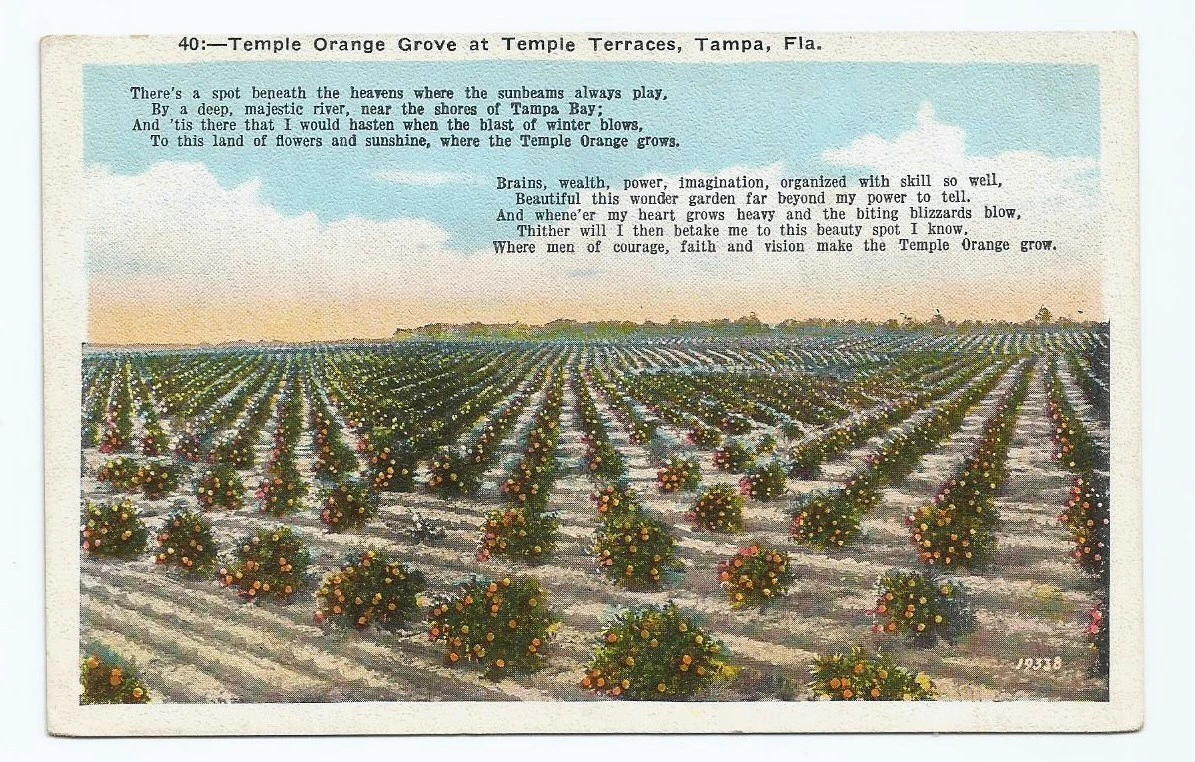 Oranges Florida Temple
