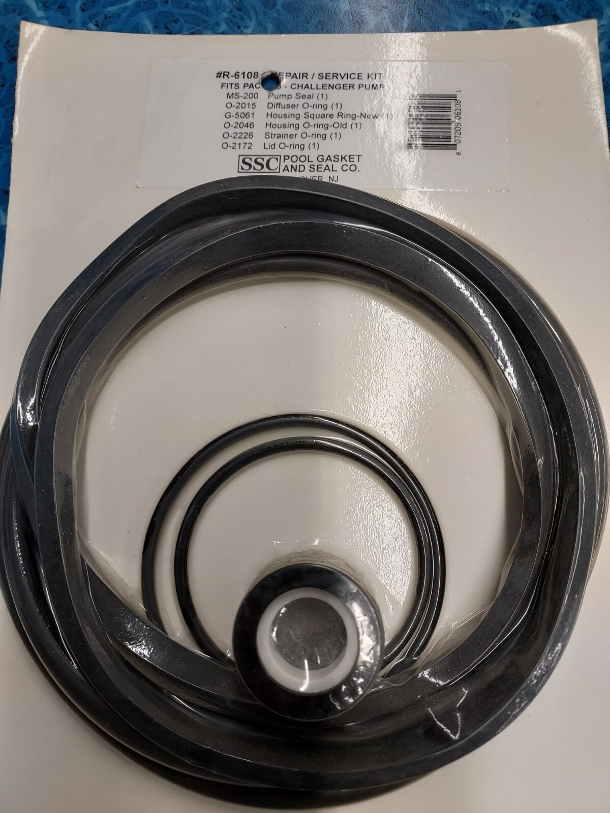 Repair Service Kit R-6108 Pac Fab Challenger Pump | eBay