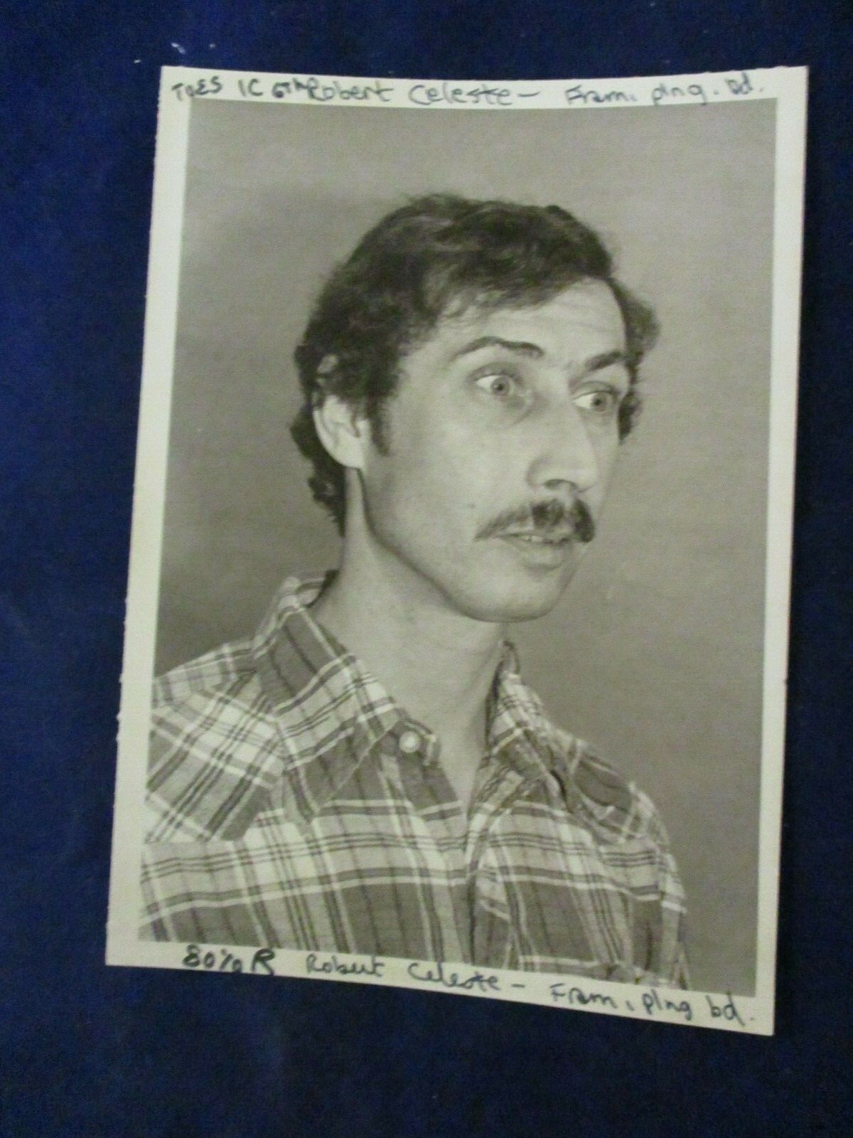 1982 Robert Celeste Democratic Senate candidate Mass. #2 Glossy Press ...